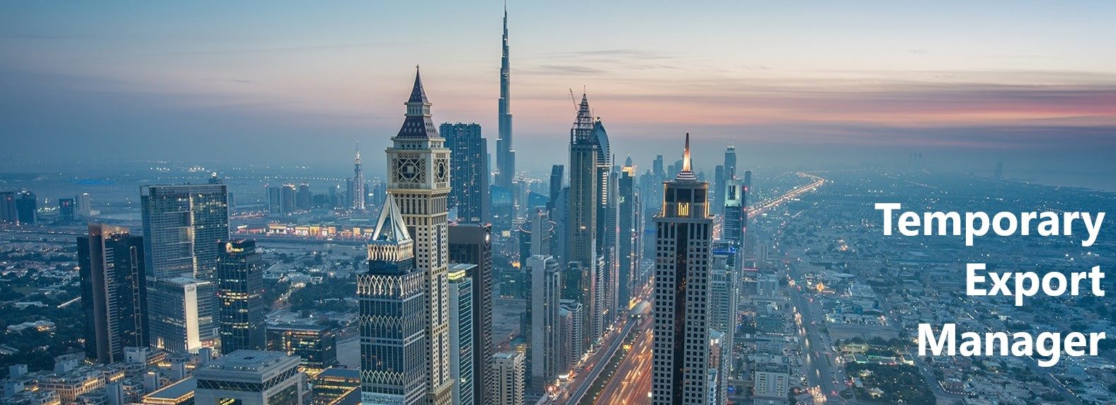 Temporary Export Manager - Radians - Internazionalizzazione